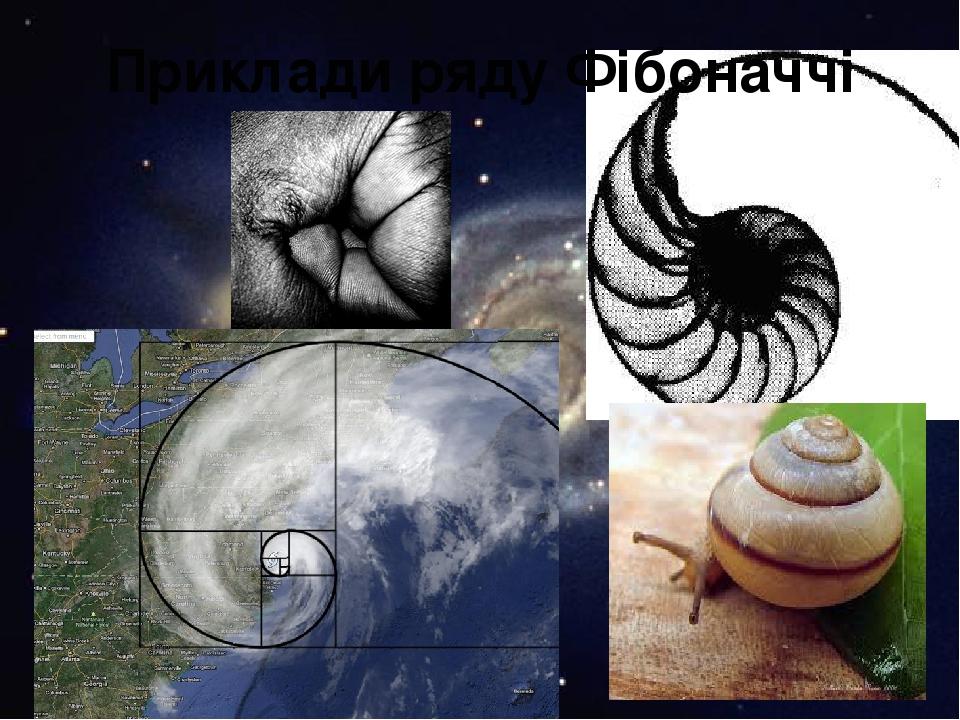 Числа та послідовності Фібоначчі Презентація Інформатика