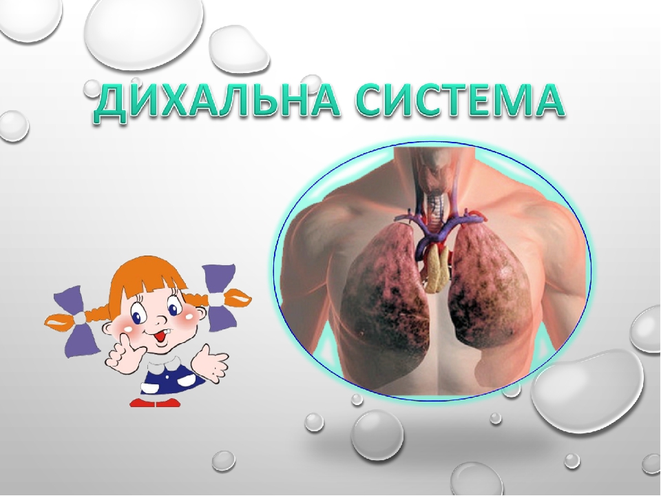 Презентація до уроку природознавство "Дихальна система"