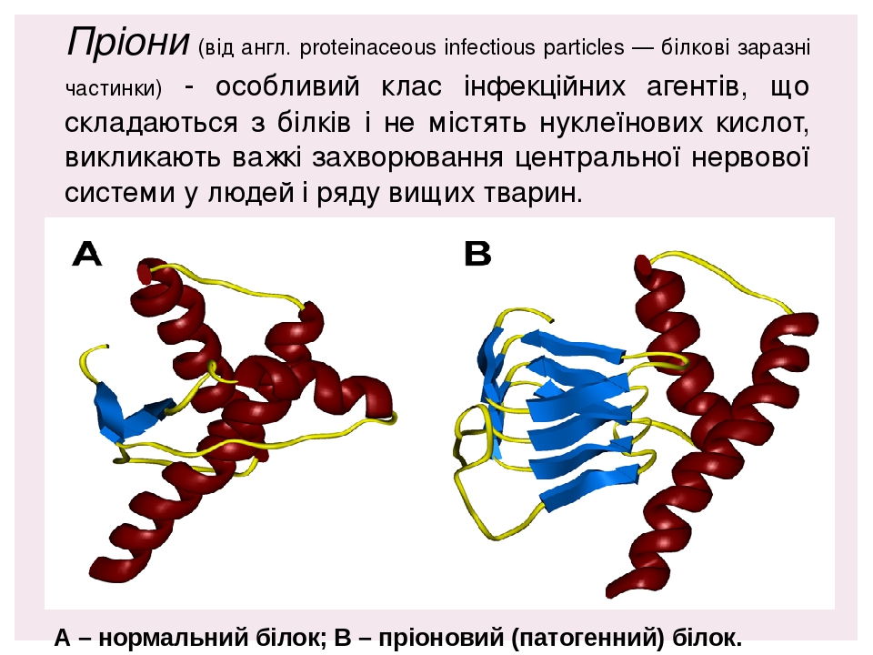 Урок Пріони